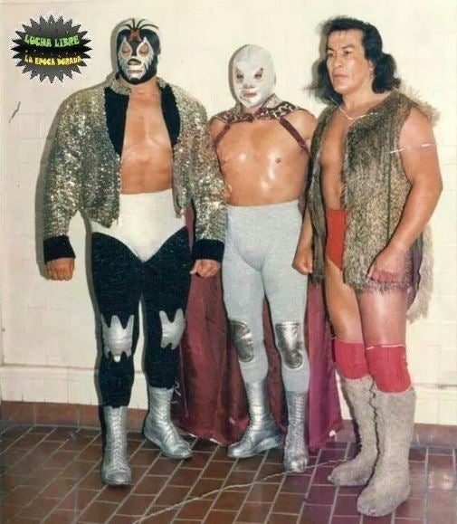 perro aguayo 1 – Cúspide