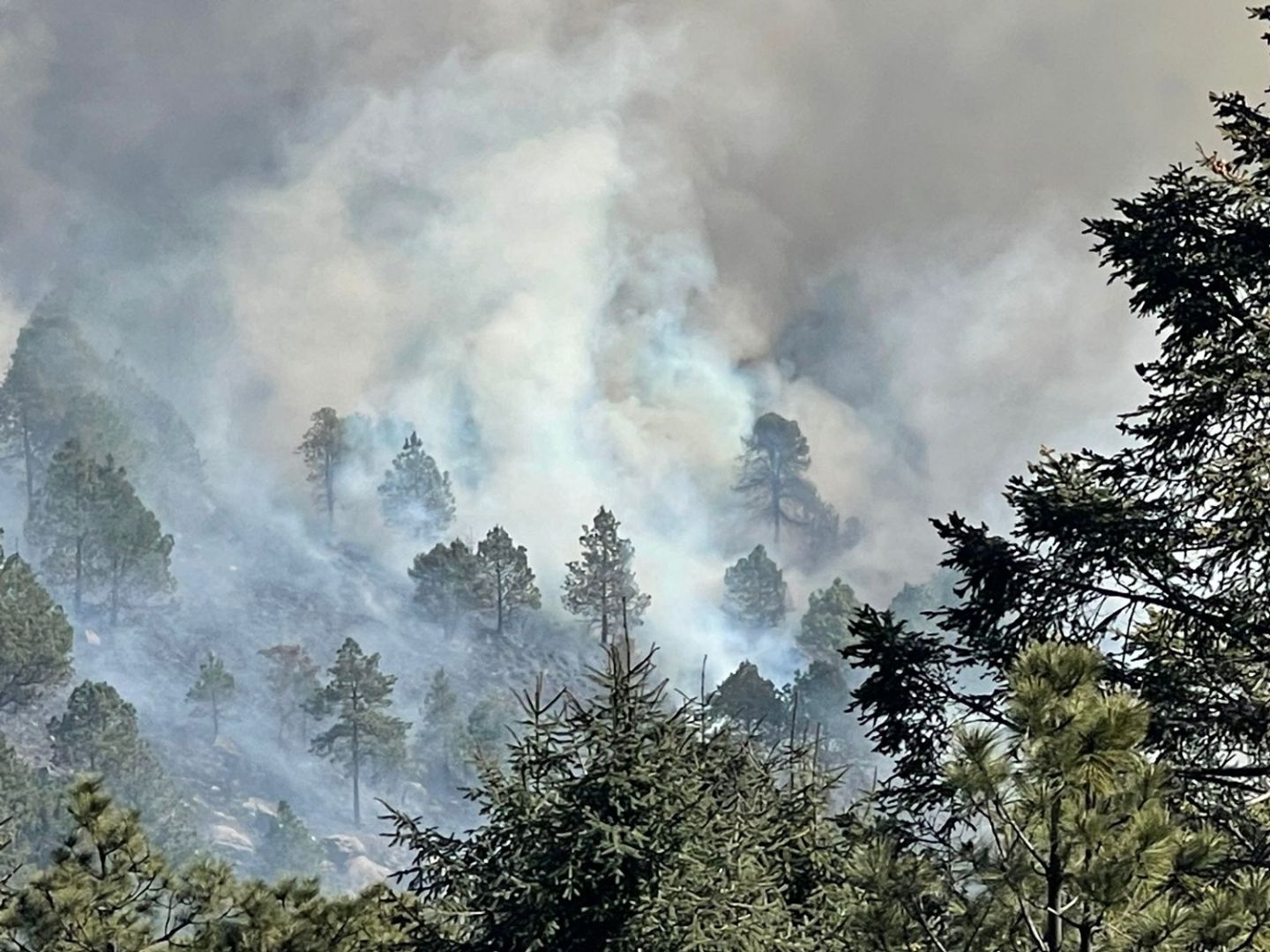 Ttratan de Sofocar Incendios Forestales con helicópteros Mexiquense ...
